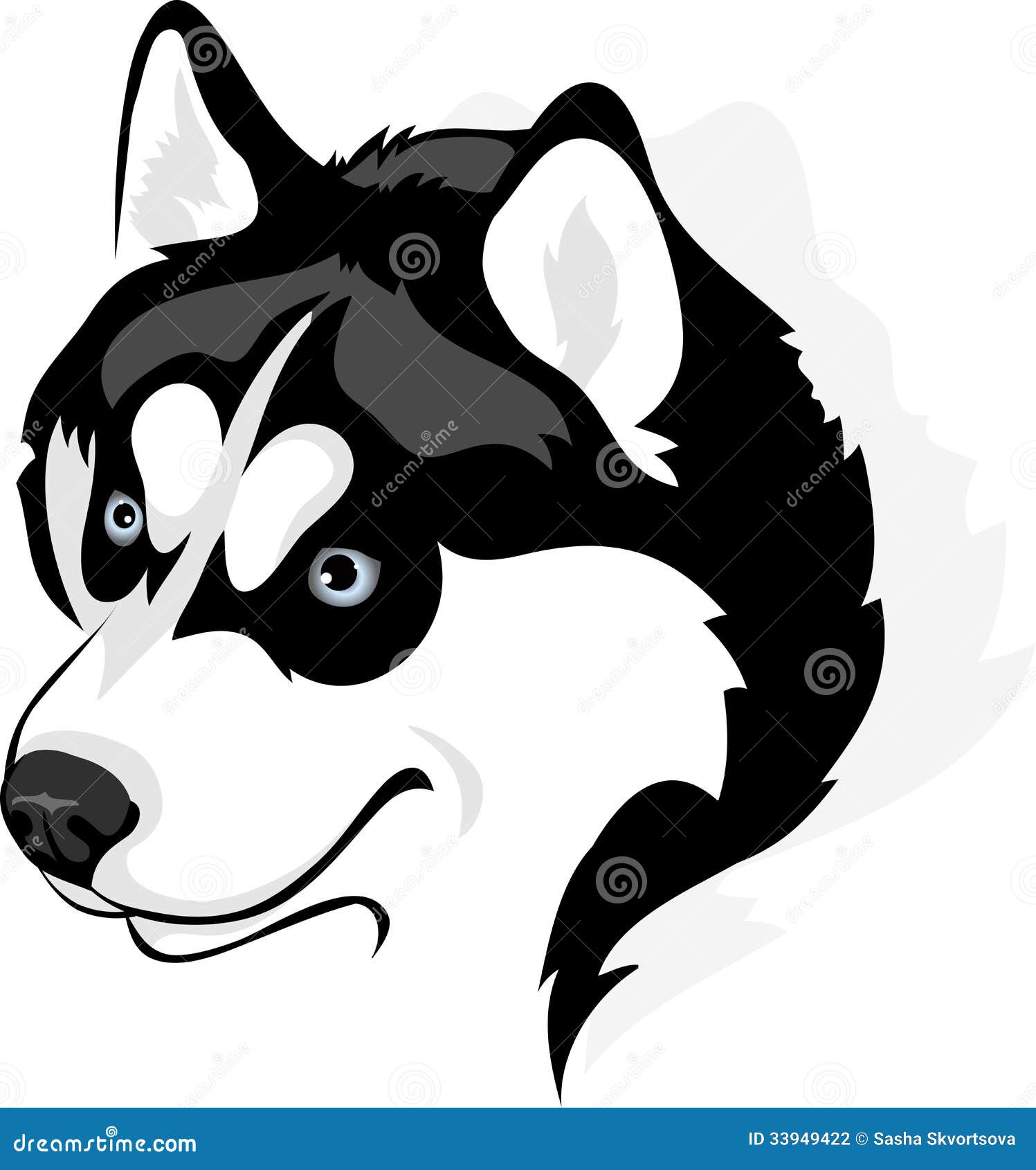 Siberian Husky stock vector. Illustration of siberian - 33949422