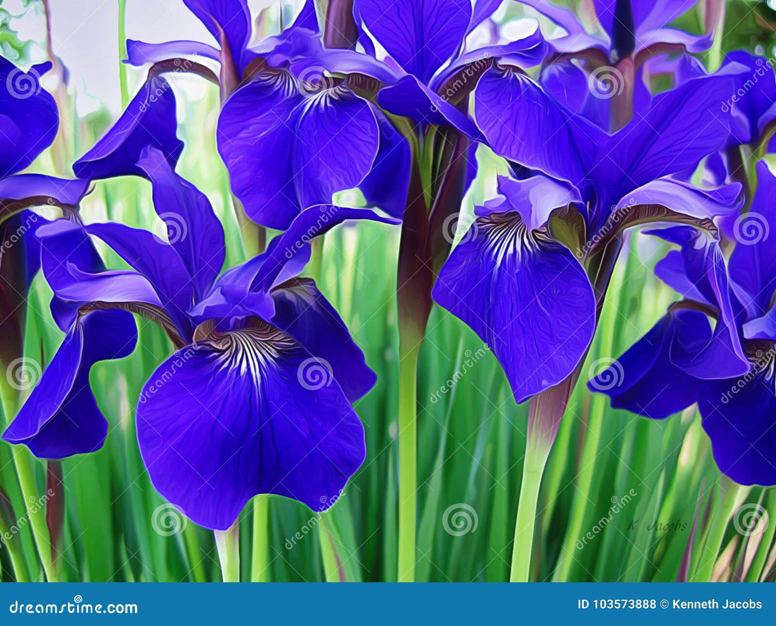 Siberian Iris: Lovely Shade of Purple Stock Photo - Image of petal ...