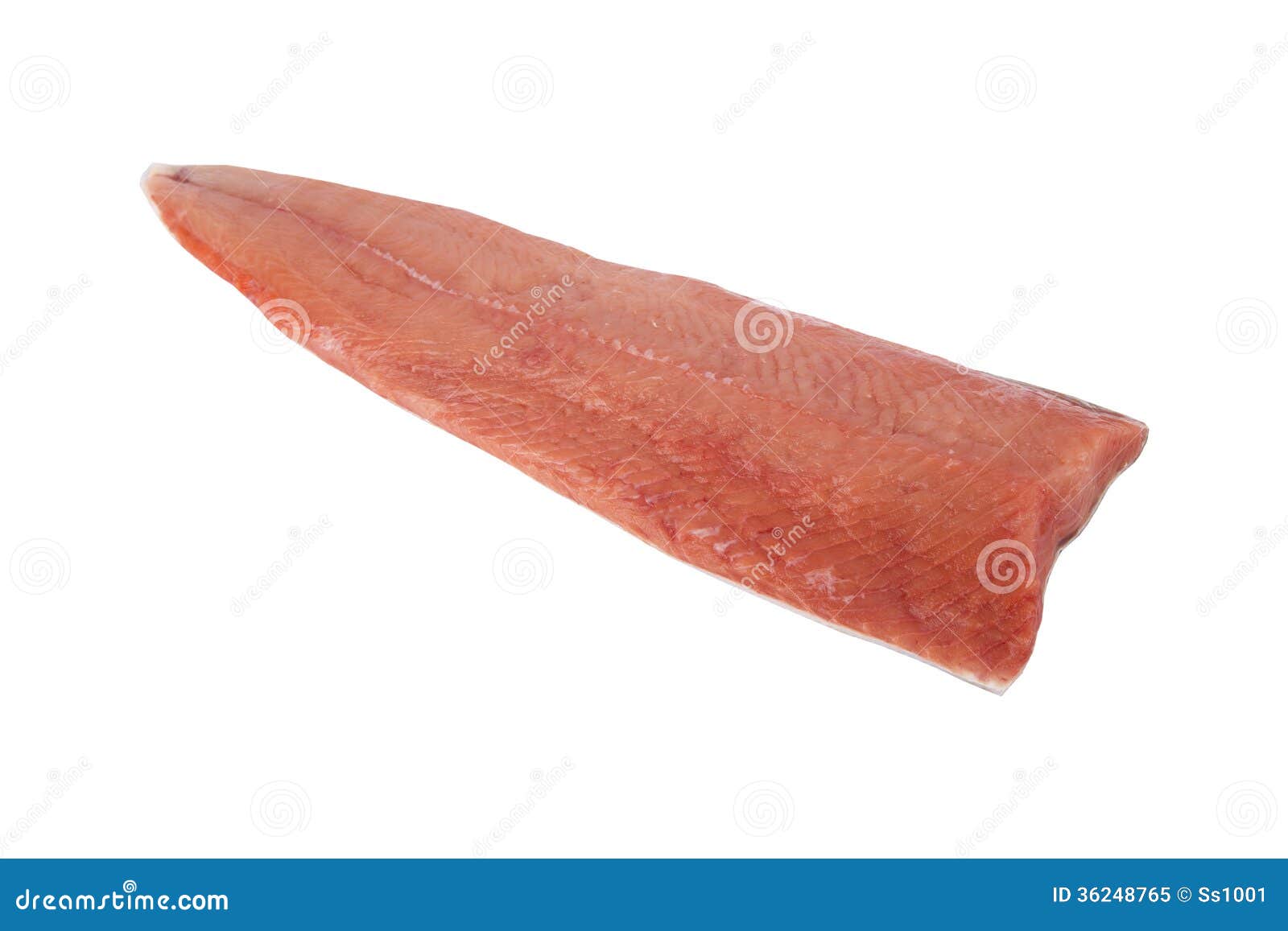 Siberian salmon stock image. Image of marine, meat, eating - 36248765