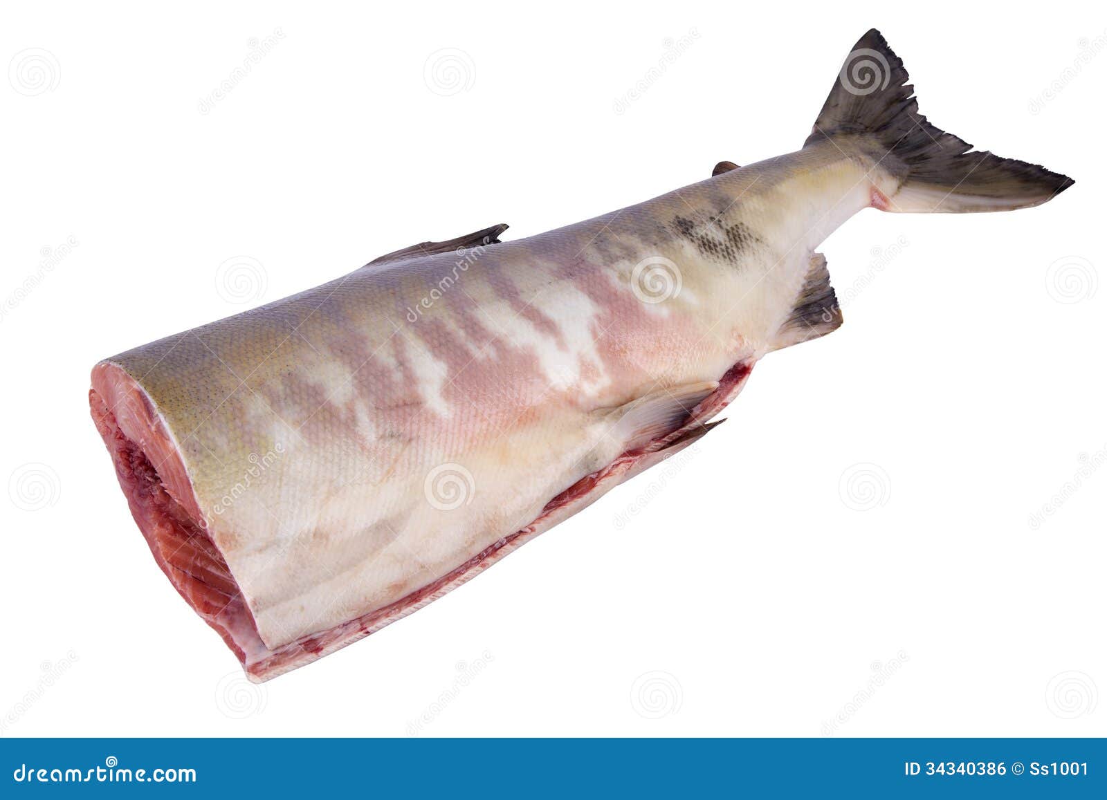 Siberian salmon stock photo. Image of health, aquatic - 34340386