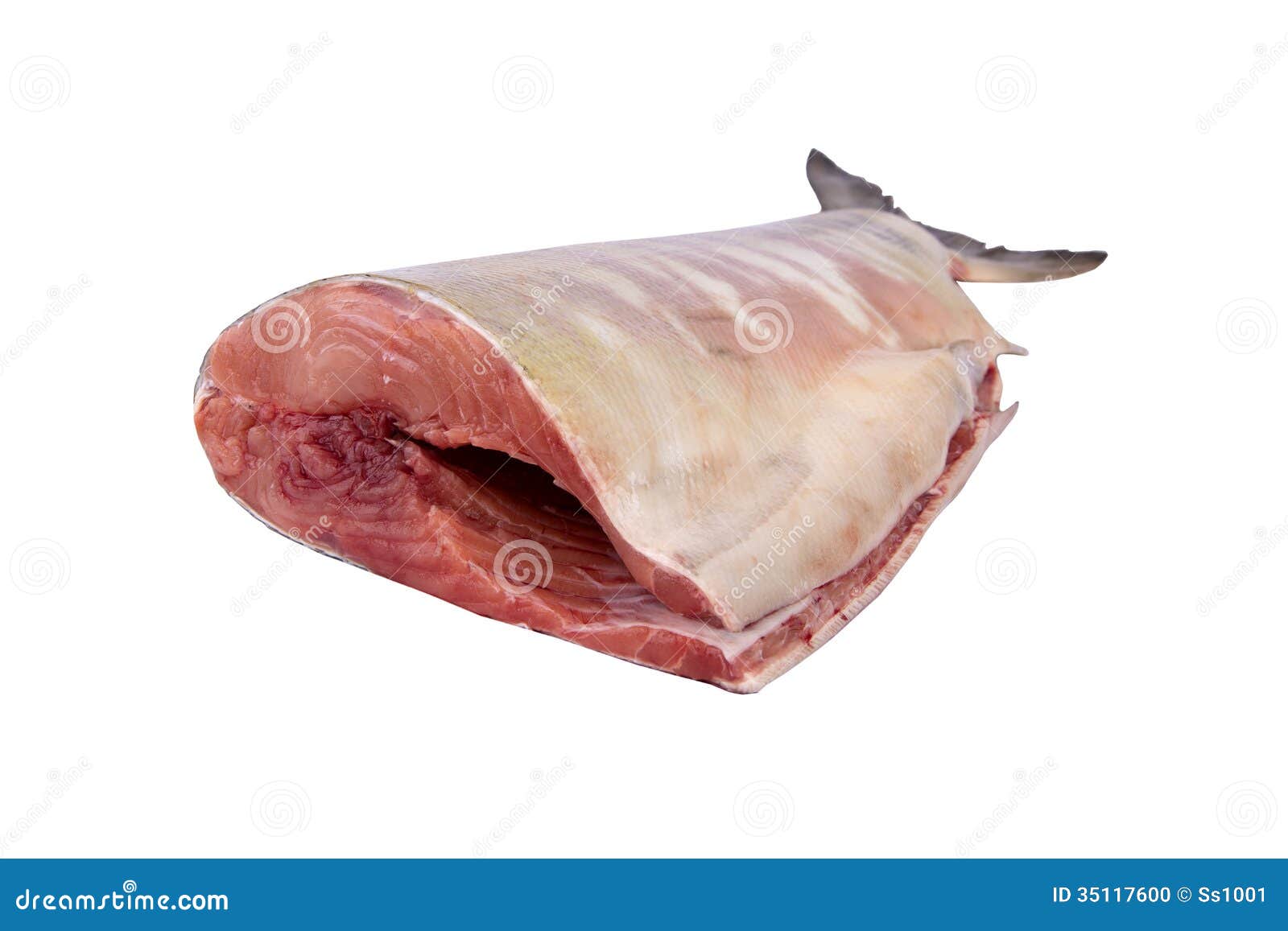 Siberian salmon stock photo. Image of eating, natural - 35117600