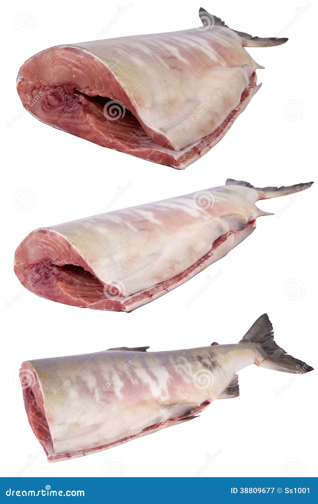 Siberian salmon stock image. Image of health, isolated - 38809677