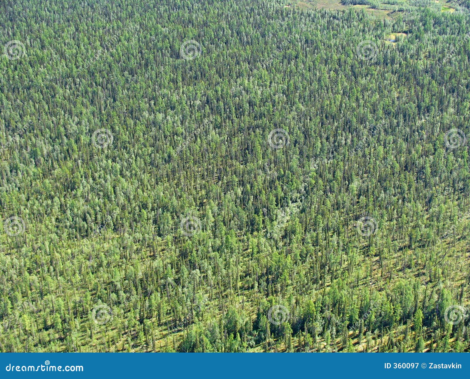 Siberian Taiga - Aerial View Stock Image - Image of native, russia: 360097 Siberian Taiga - Aerial View Stock Image - Image of native, russia: 360097