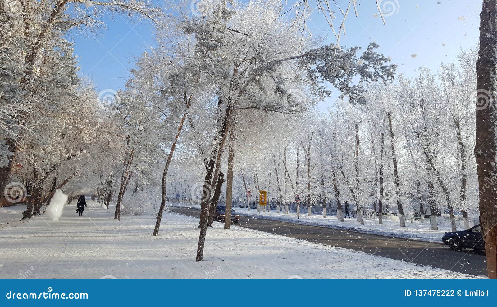 Siberian Winter in the City Editorial Photography - Image of winter ...