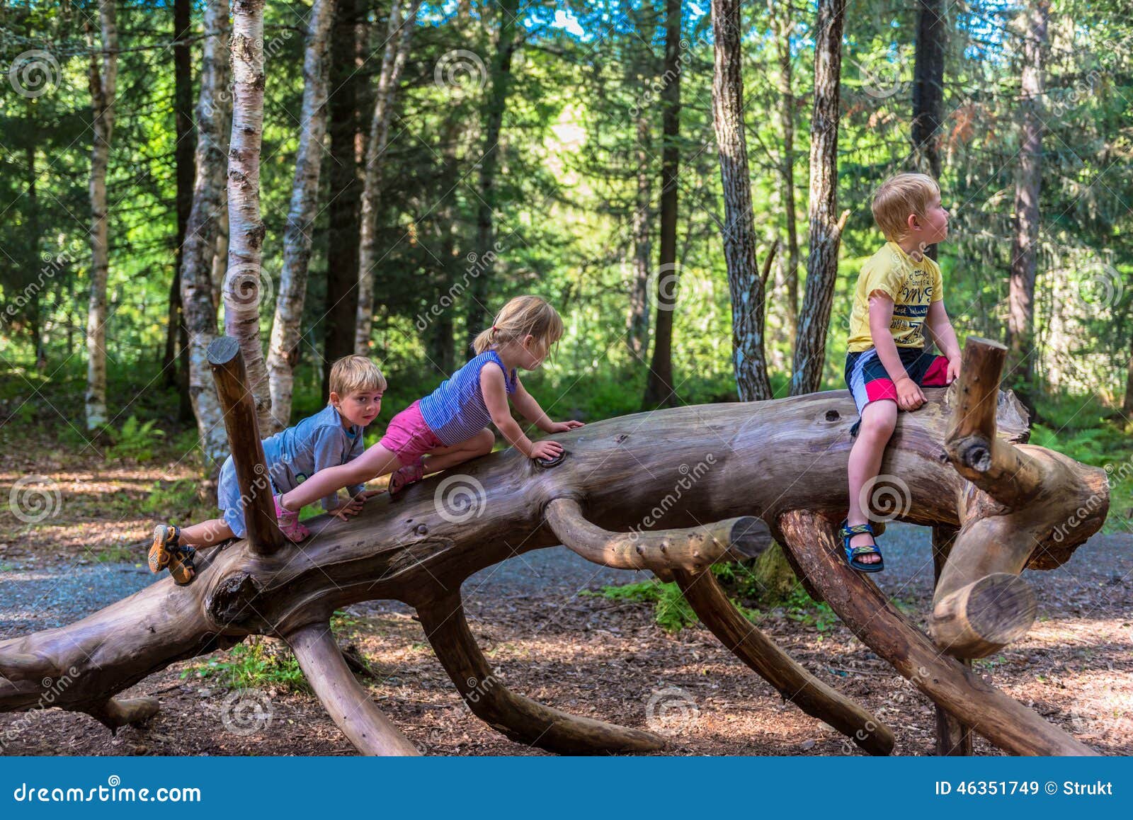 Siblings Climbing on a Big Log in a Forest Stock Image - Image of huge ...