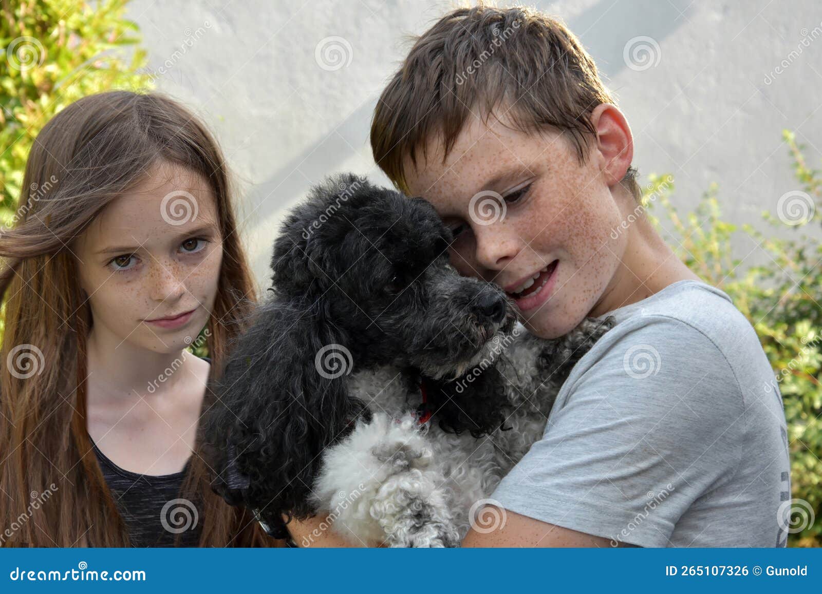 Siblings and dog stock photo. Image of happiness, brother - 265107326