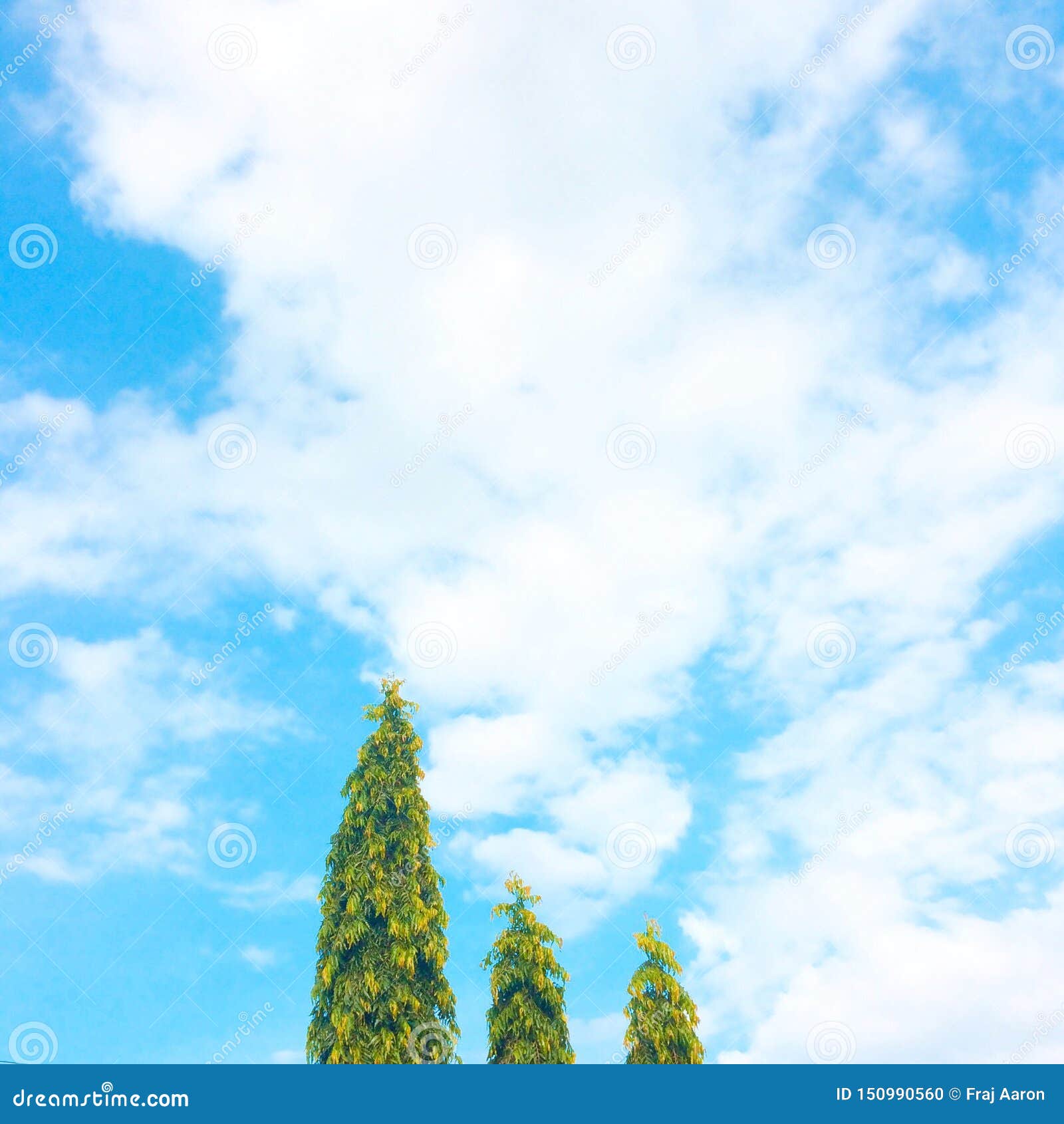 Siblings stock photo. Image of trees, minimal, little - 150990560