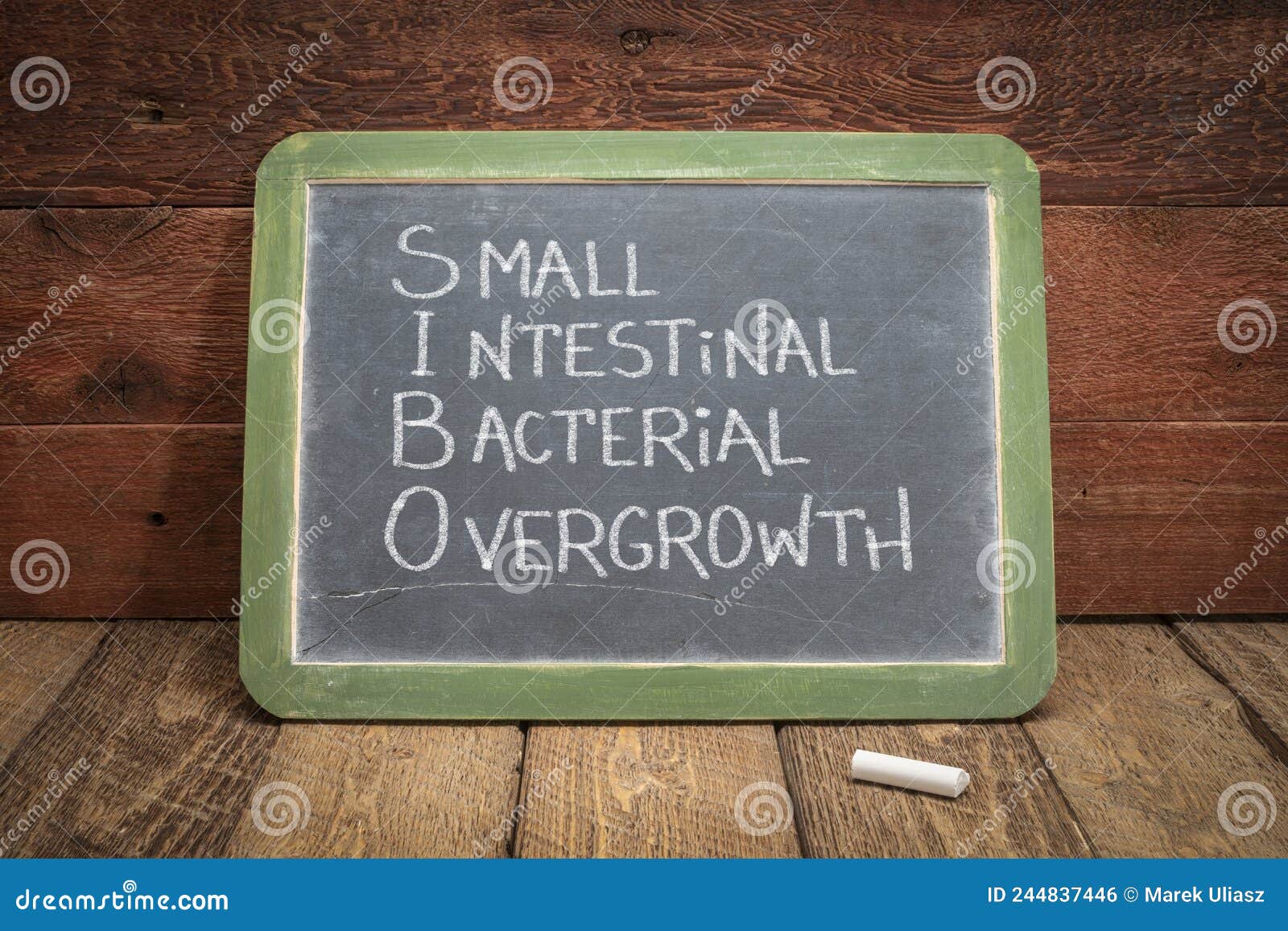 SIBO - Small Intestinal Bacterial Overgrowth Stock Photo - Image of ... SIBO - Small Intestinal Bacterial Overgrowth Stock Photo - Image of ...