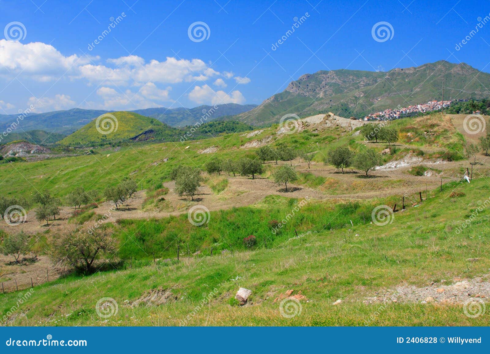 Sicilian countryside stock photo. Image of flowers, meadow - 2406828