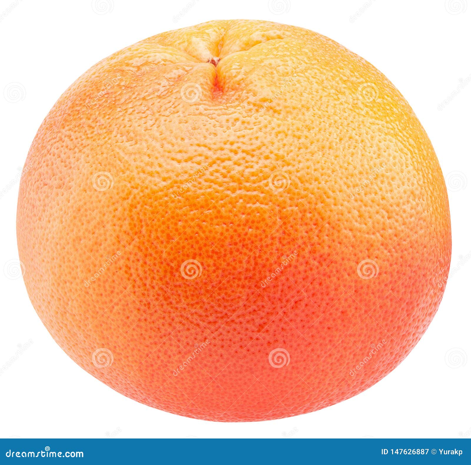 Sicilian Red Orange Isolated on a White Background Stock Image - Image ...