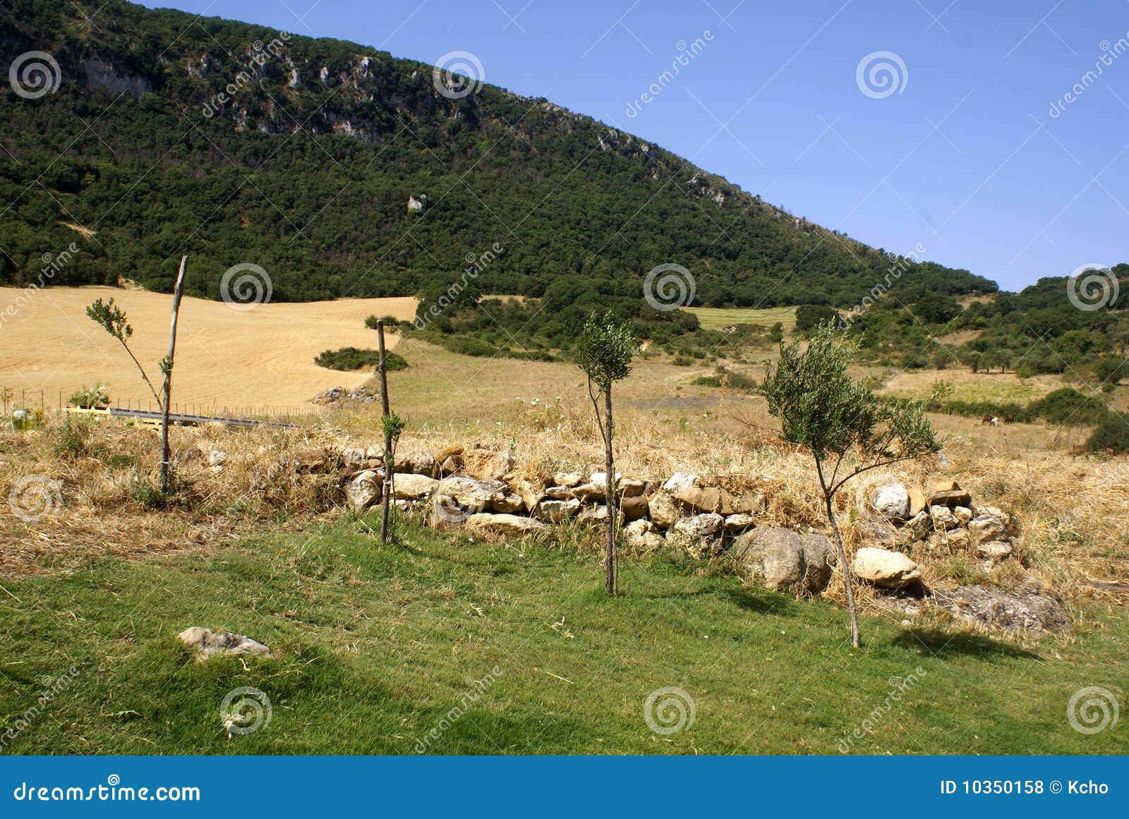 Sicily countryside stock photo. Image of meadows, mountain - 10350158