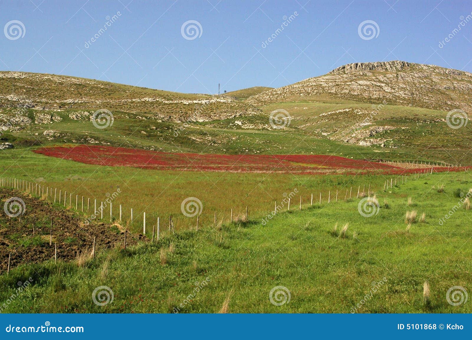 Sicily countryside stock photo. Image of autumn, grass - 5101868