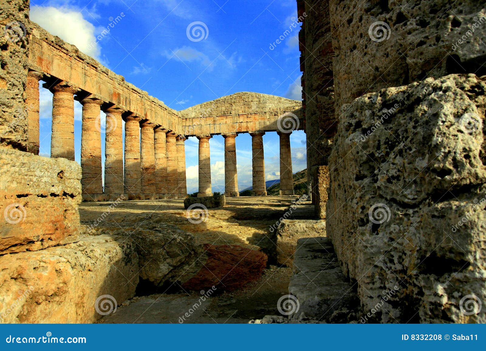 Greek Temple At Paestum Italy With Background Pine Stock Photography ...