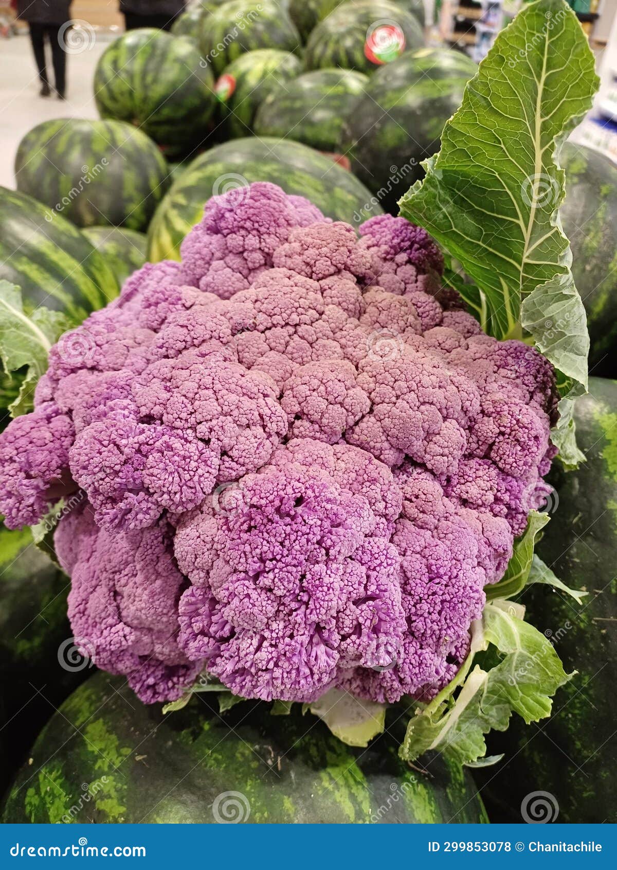 Sicily Purple Cauliflower Healthy Vegetables Stock Photo - Image of ...