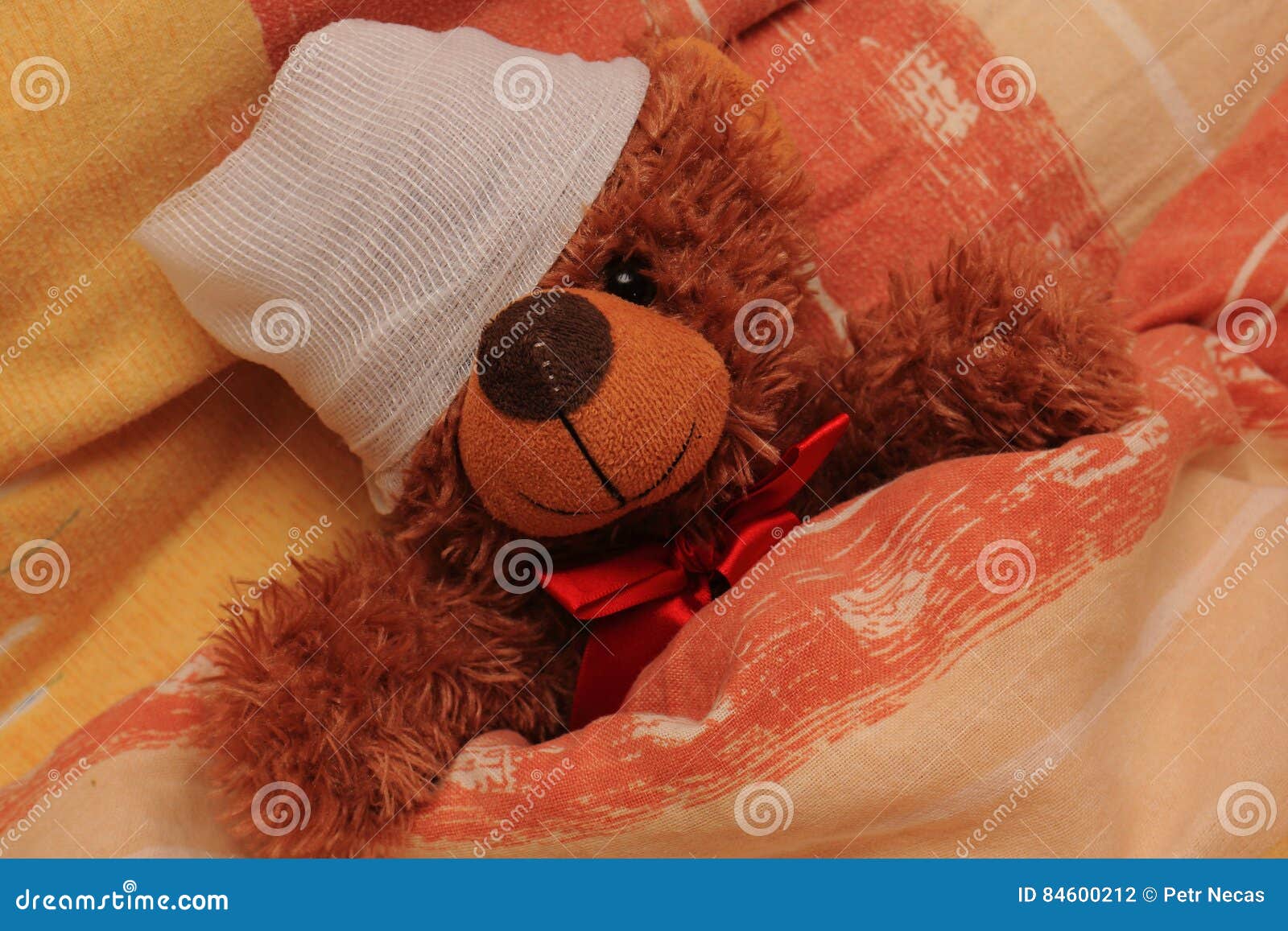 Sick bear stock photo. Image of lifestyle, injury, healthcare - 84600212
