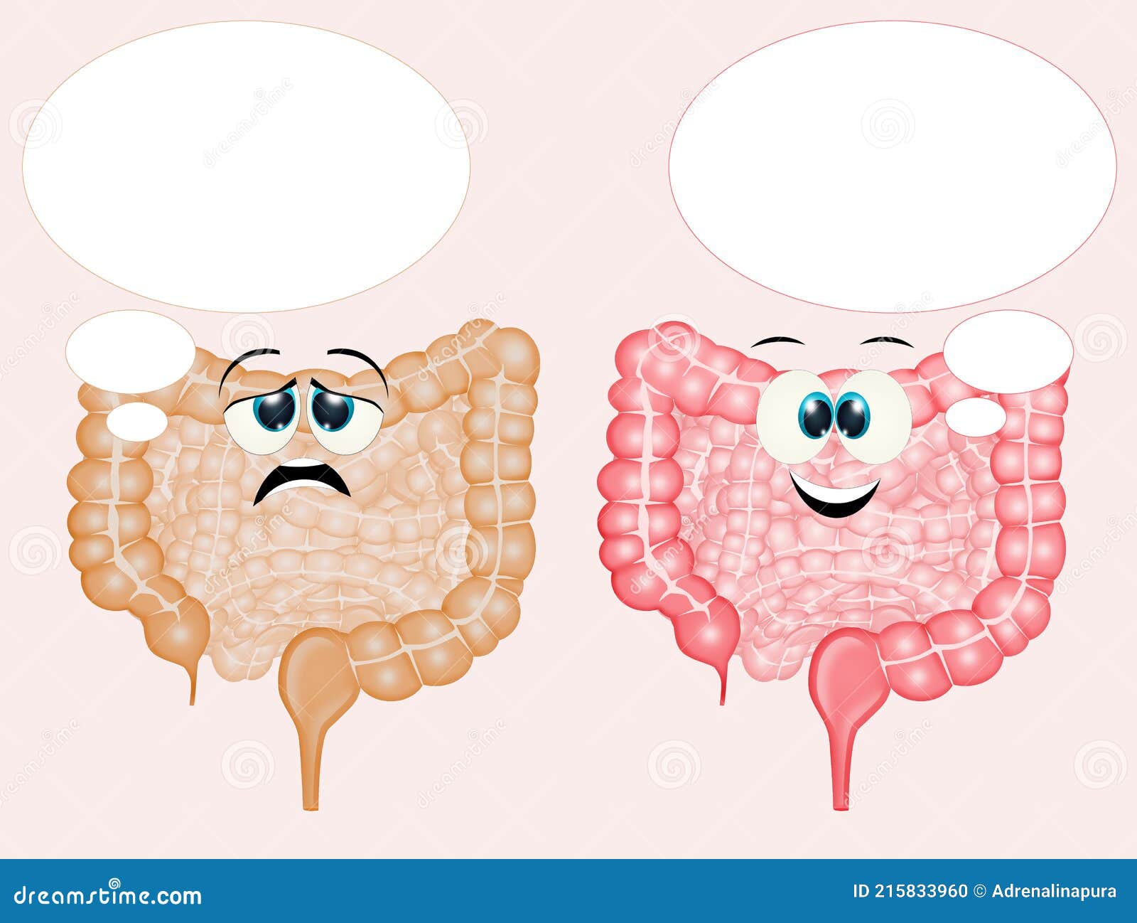 Sad Sick Intestine Character With Soda Bottle And Burger. Abdominal ...