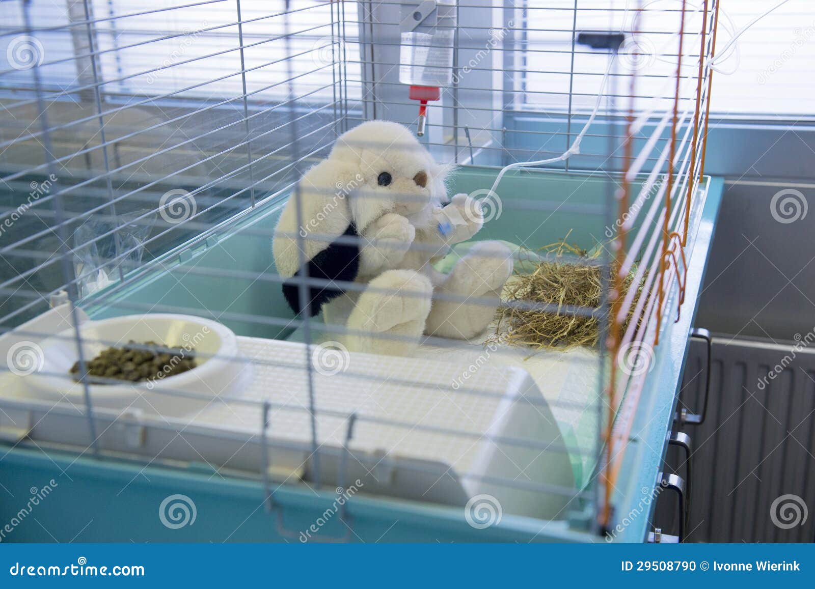 Sick stuffed toy stock photo. Image of healthcare, bottle - 29508790