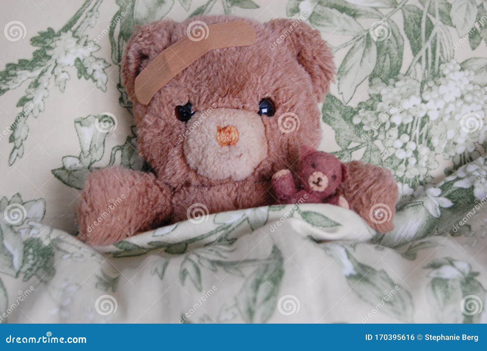 Sick Teddy Bear in a Bed stock photo. Image of child - 170395616