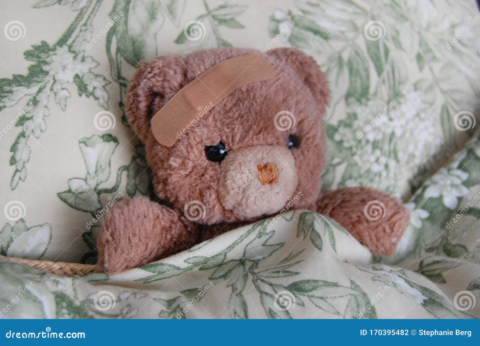 Sick Teddy Bear in a Bed stock photo. Image of adorable - 170395482