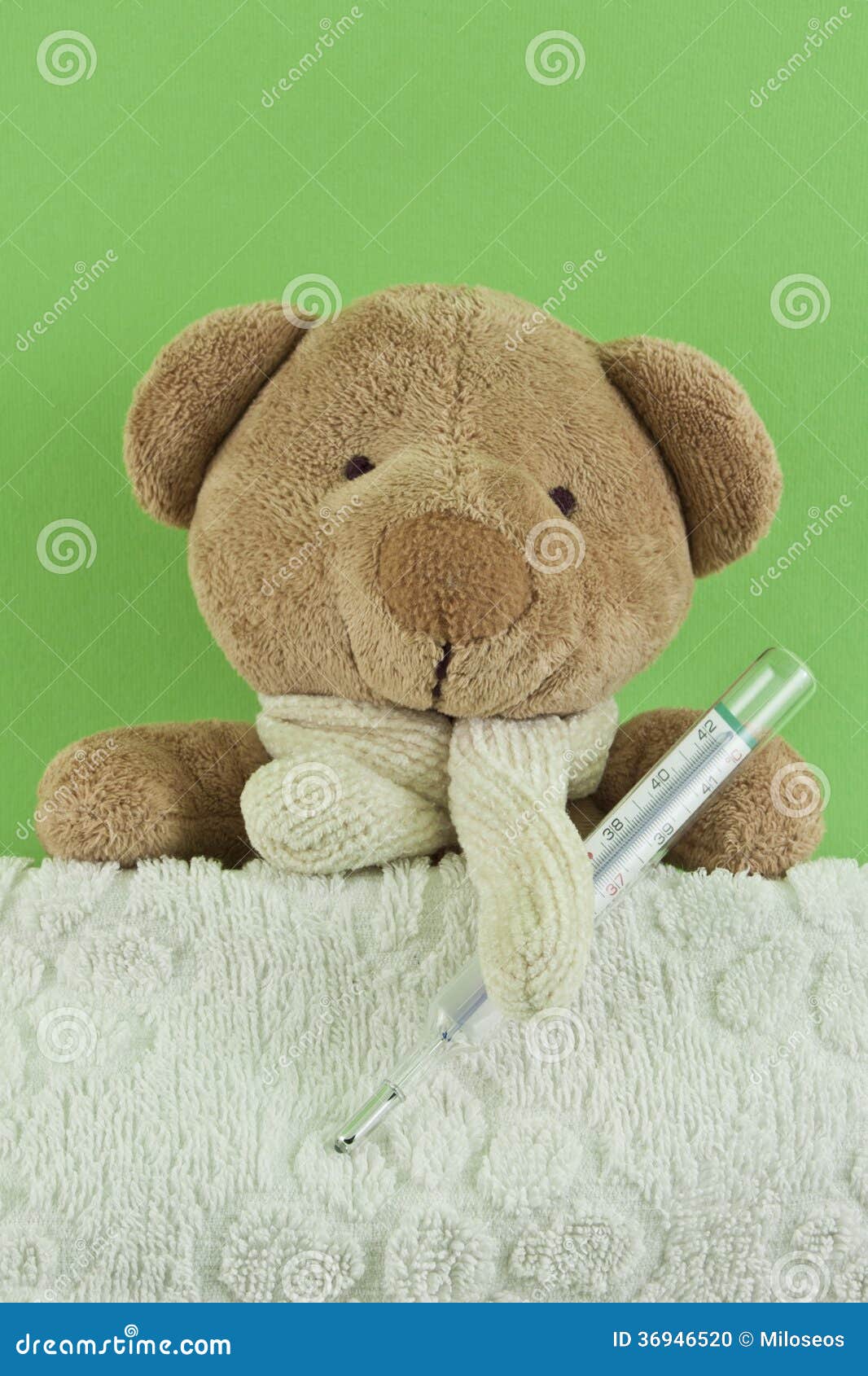 Sick teddy bear stock photo. Image of tiny, medical, soft - 36946520