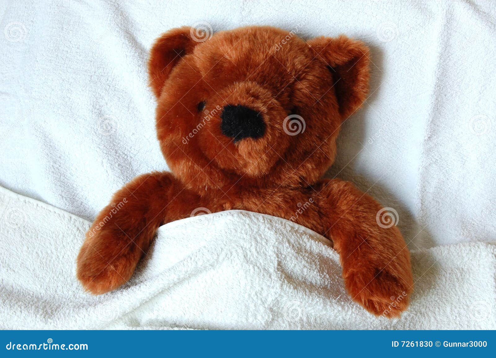 Sick Teddy with Injury in Bed Stock Photo - Image of bear, pediatric ...