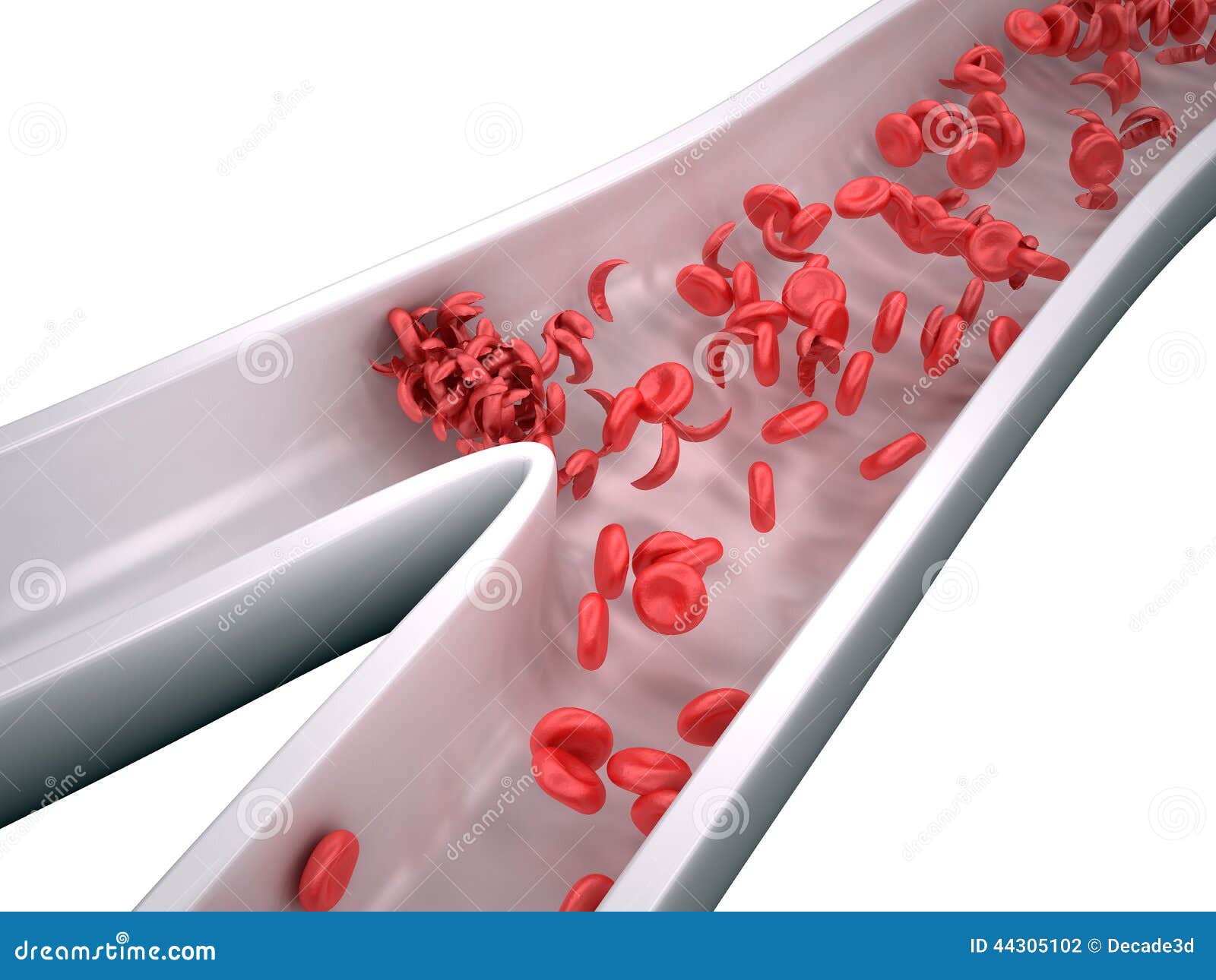 Blood Flow. 3D Illustration Showing Different Types Of Blood Cells ...