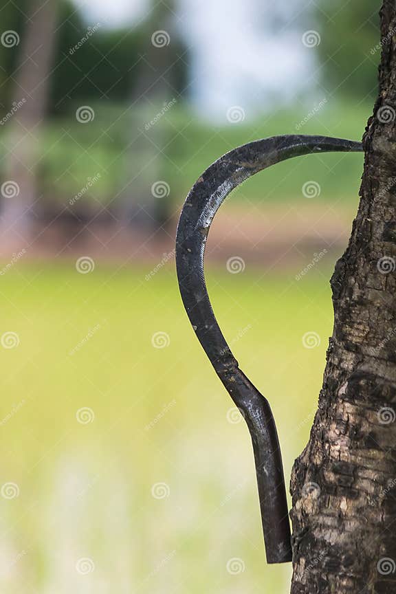 The sickle stick stock photo. Image of culture, farmer - 78285112