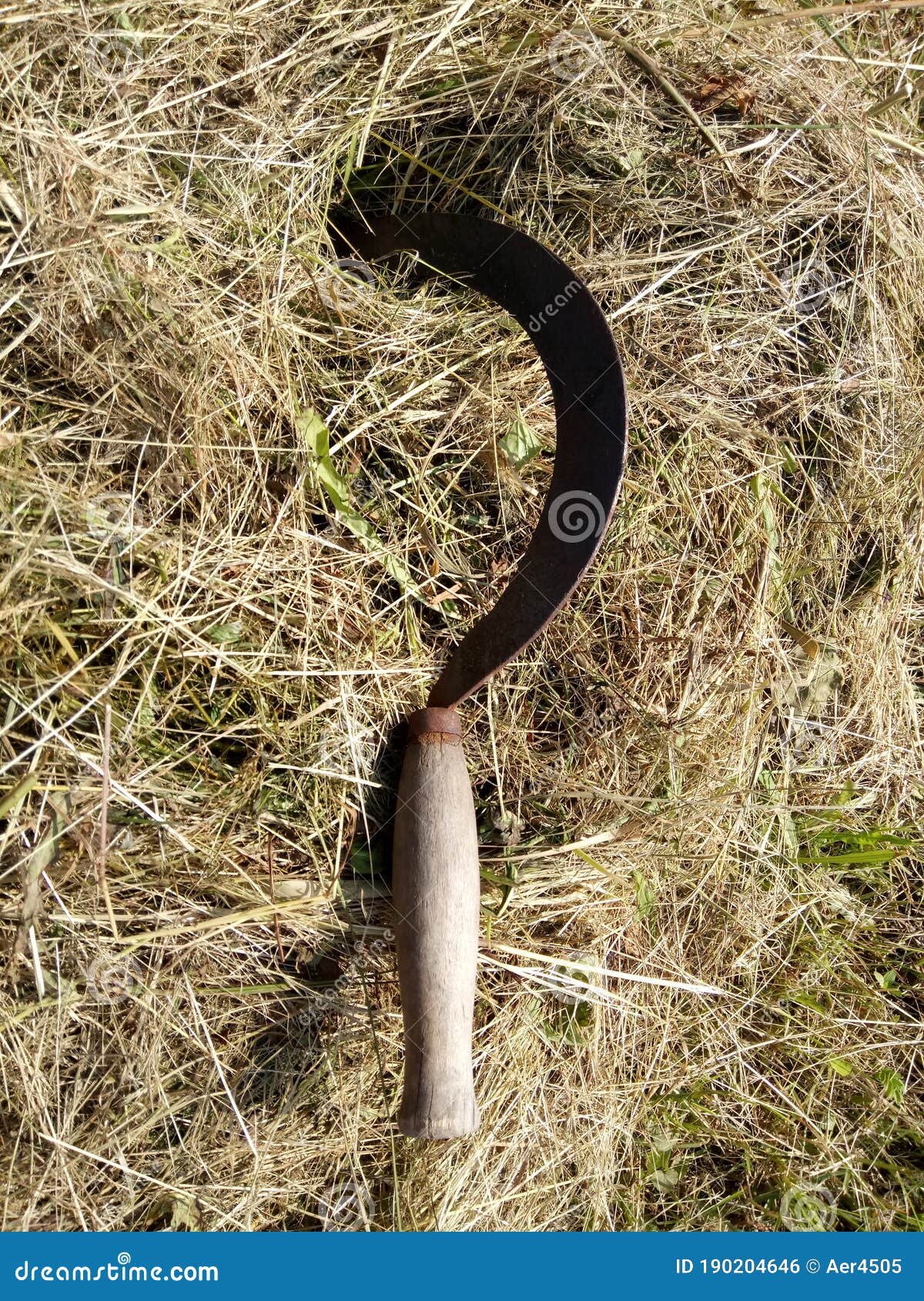 The Old Sickle Stuck On The Tree. Royalty-Free Stock Photo ...