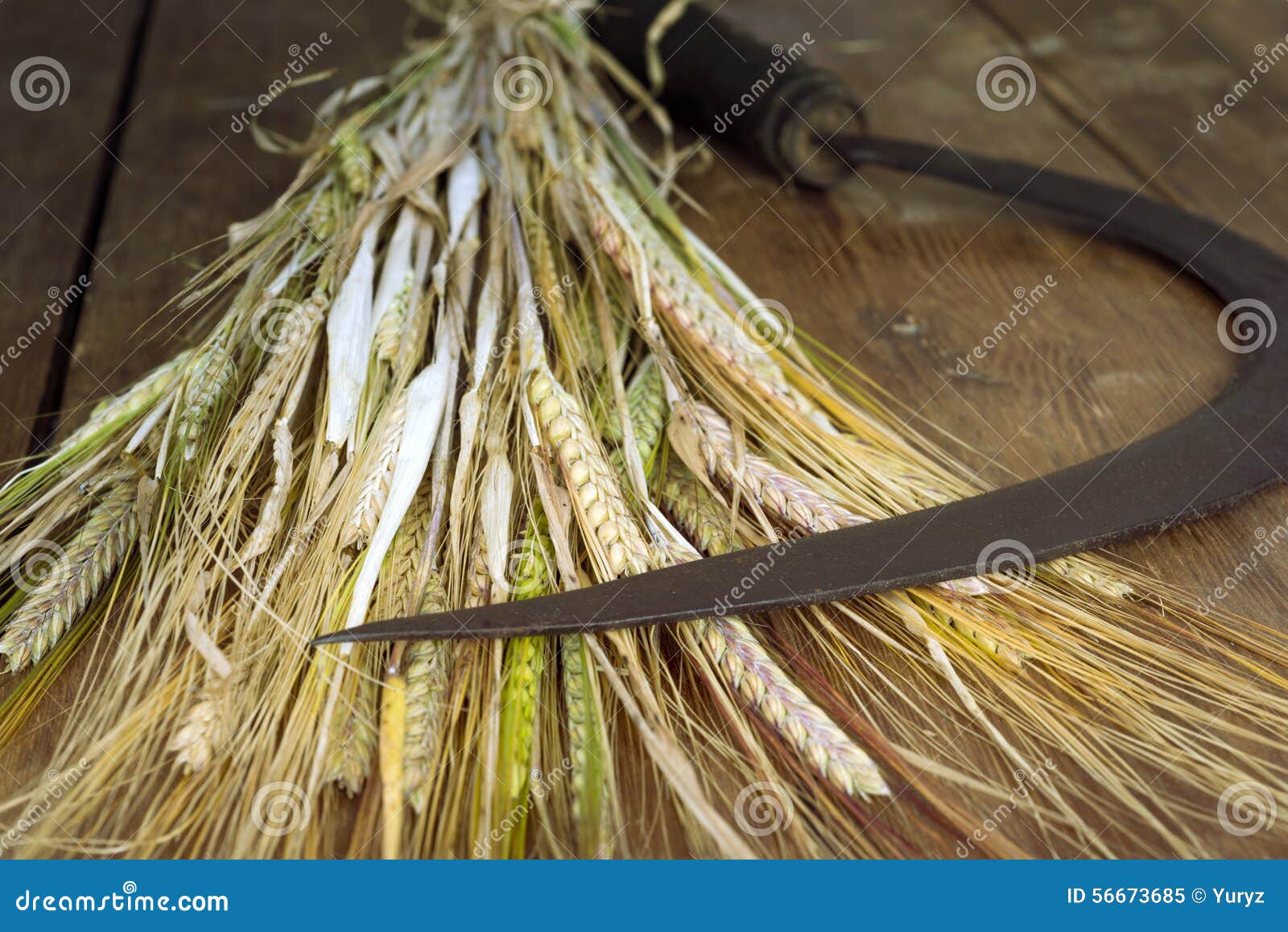 Vintage Sickle Sharpening Vise Royalty-Free Stock Photography ...