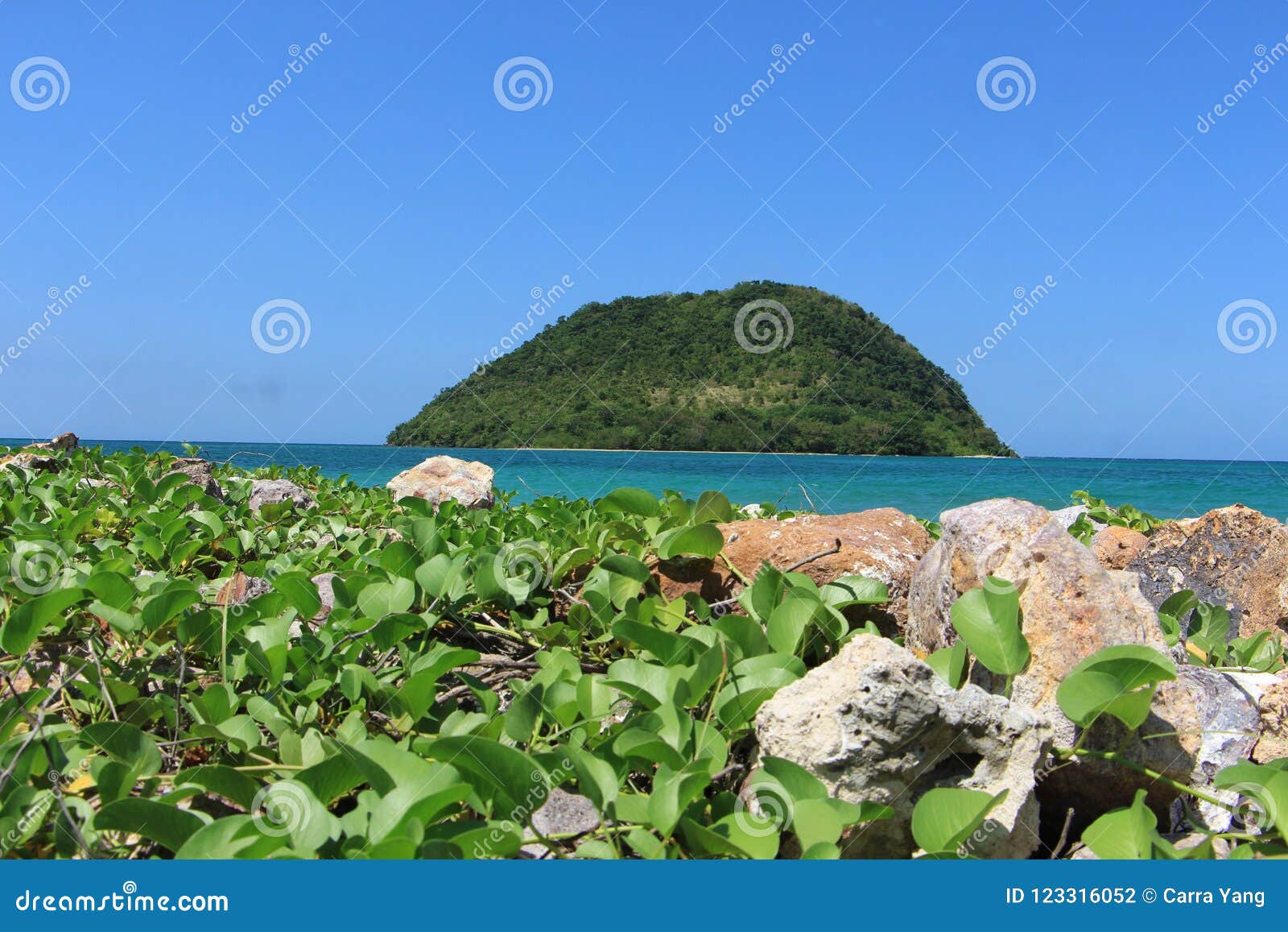 SICOGON ISLAND stock photo. Image of sands, sicogon - 123316052