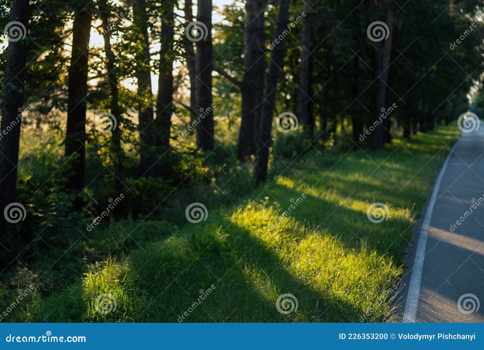 The Side of the Asphalt Road is Overgrown with Grass. Stock Photo ...