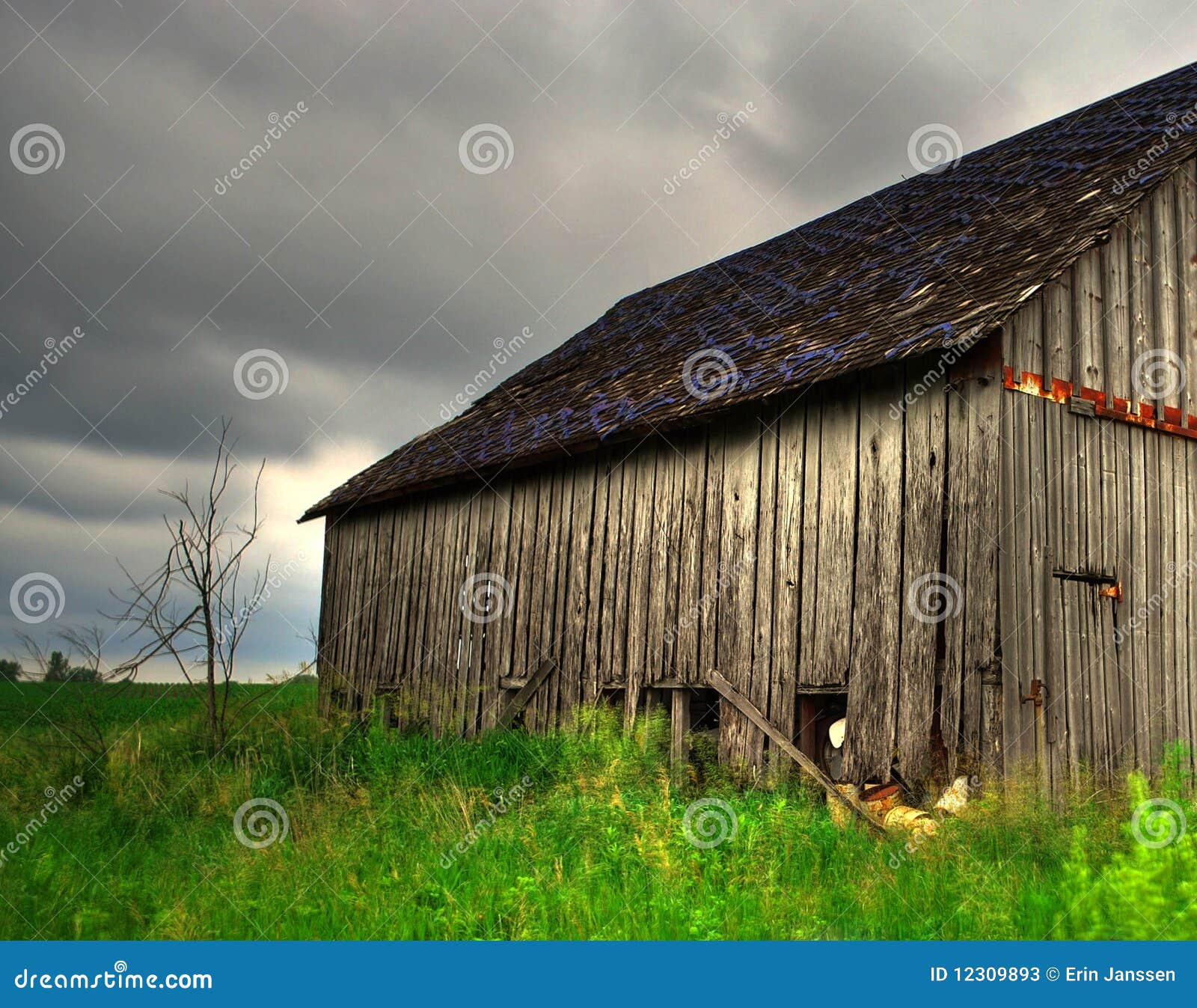 Side barn stock image. Image of grass, green, farming - 12309893