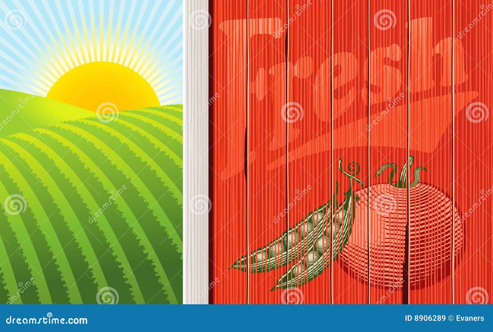 The Side of a Barn with Sunrise Beyond. Stock Vector - Illustration of ...