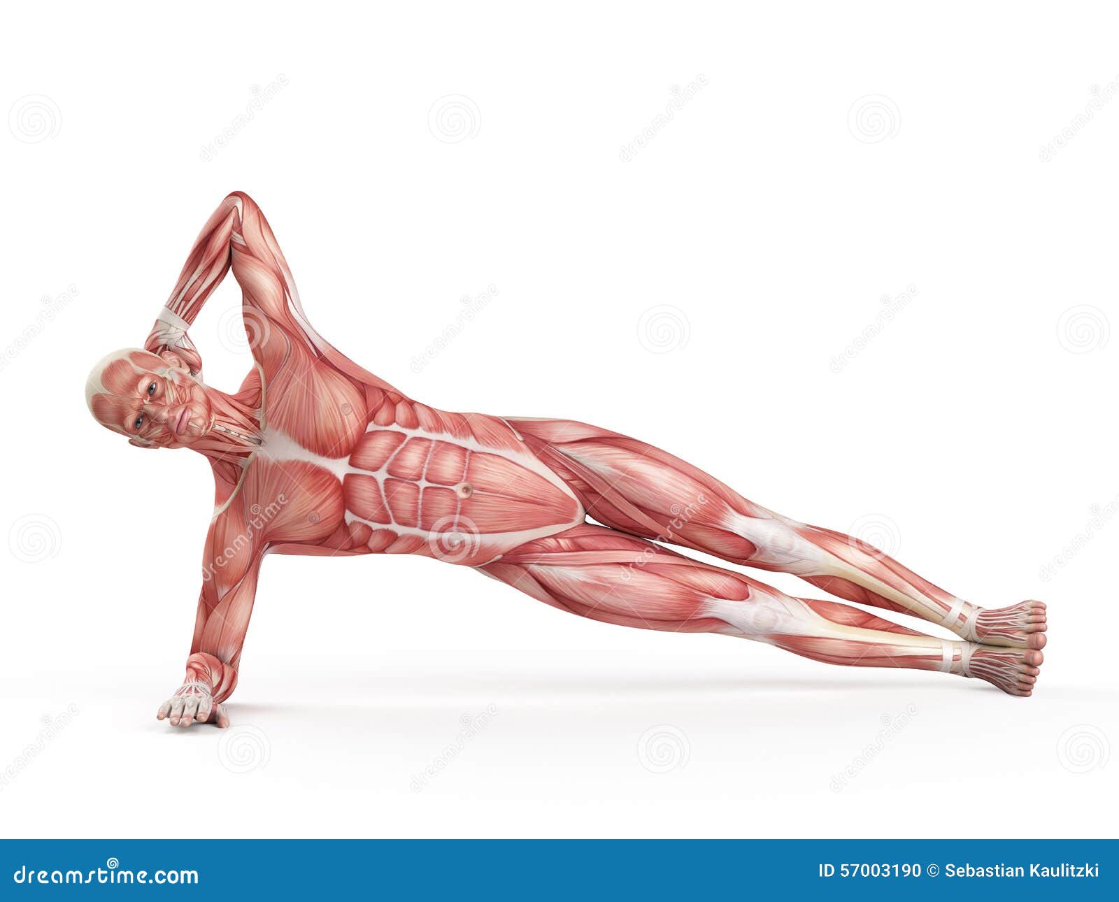 Side bridge stock illustration. Illustration of artwork - 57003190