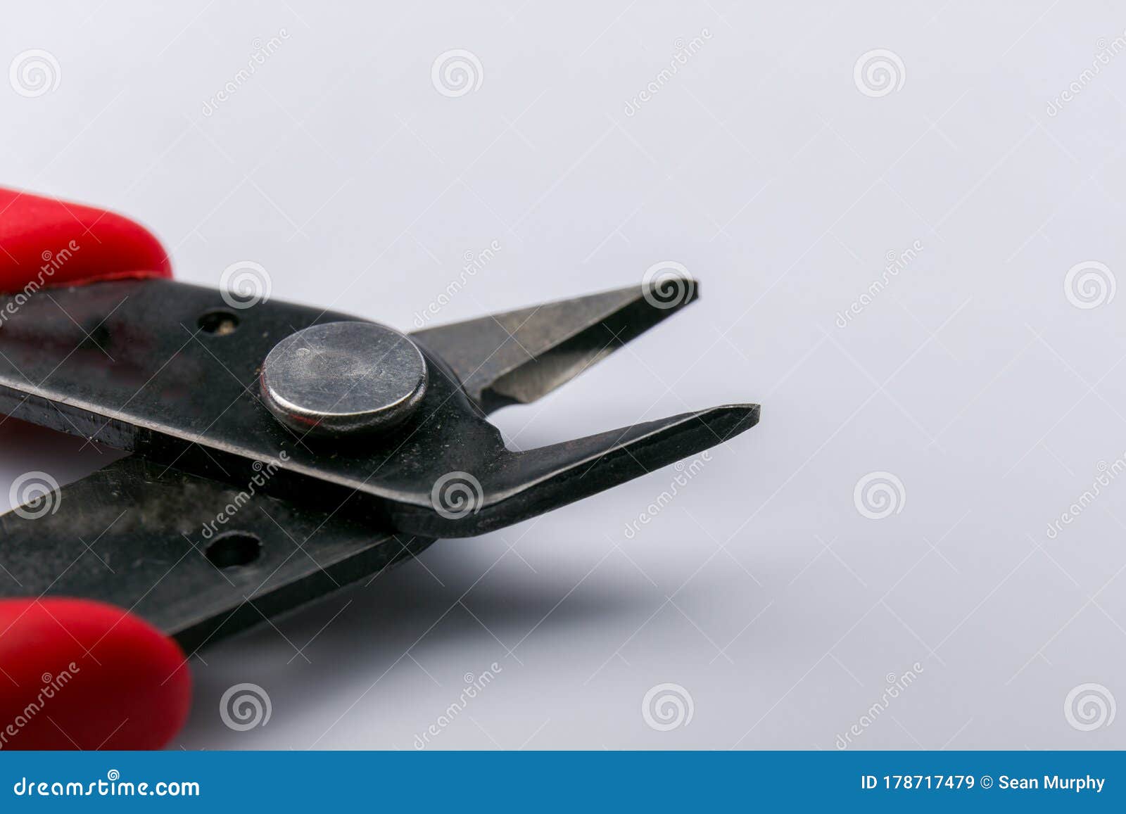Side Cutters on a White Background Stock Image - Image of background ...