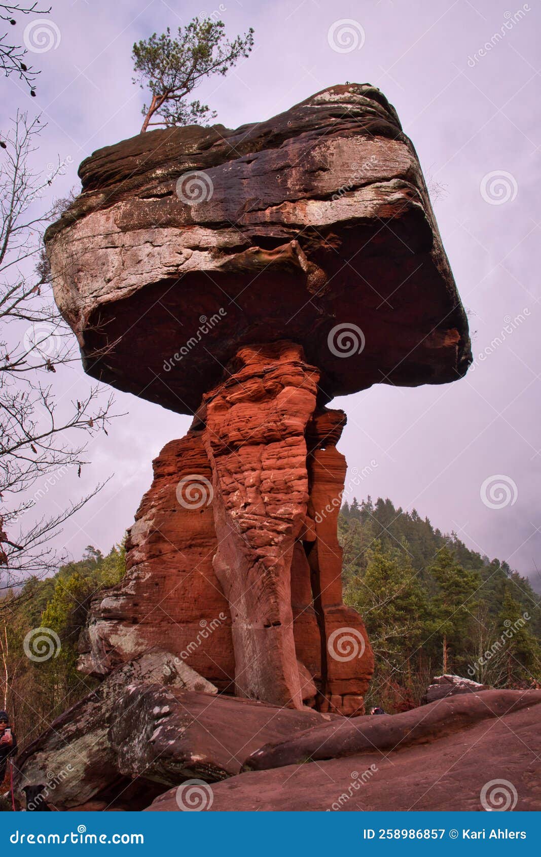 Side of Devil S Table with Tree Growing on Top Stock Image - Image of ...