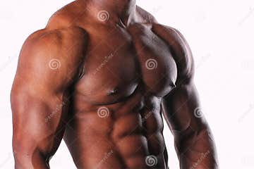Side facing male torso stock image. Image of male, biceps - 48589677