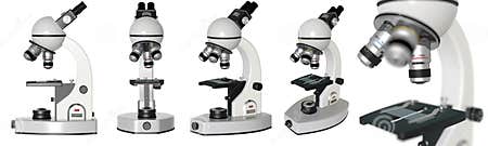 Side and Front Views of a Microscope Stock Illustration - Illustration ...