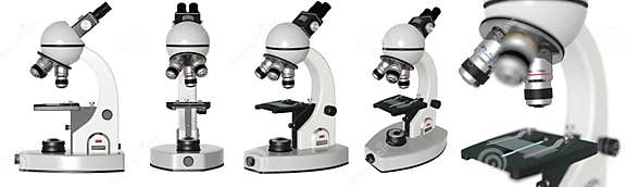 Side and Front Views of a Microscope Stock Illustration - Illustration ...