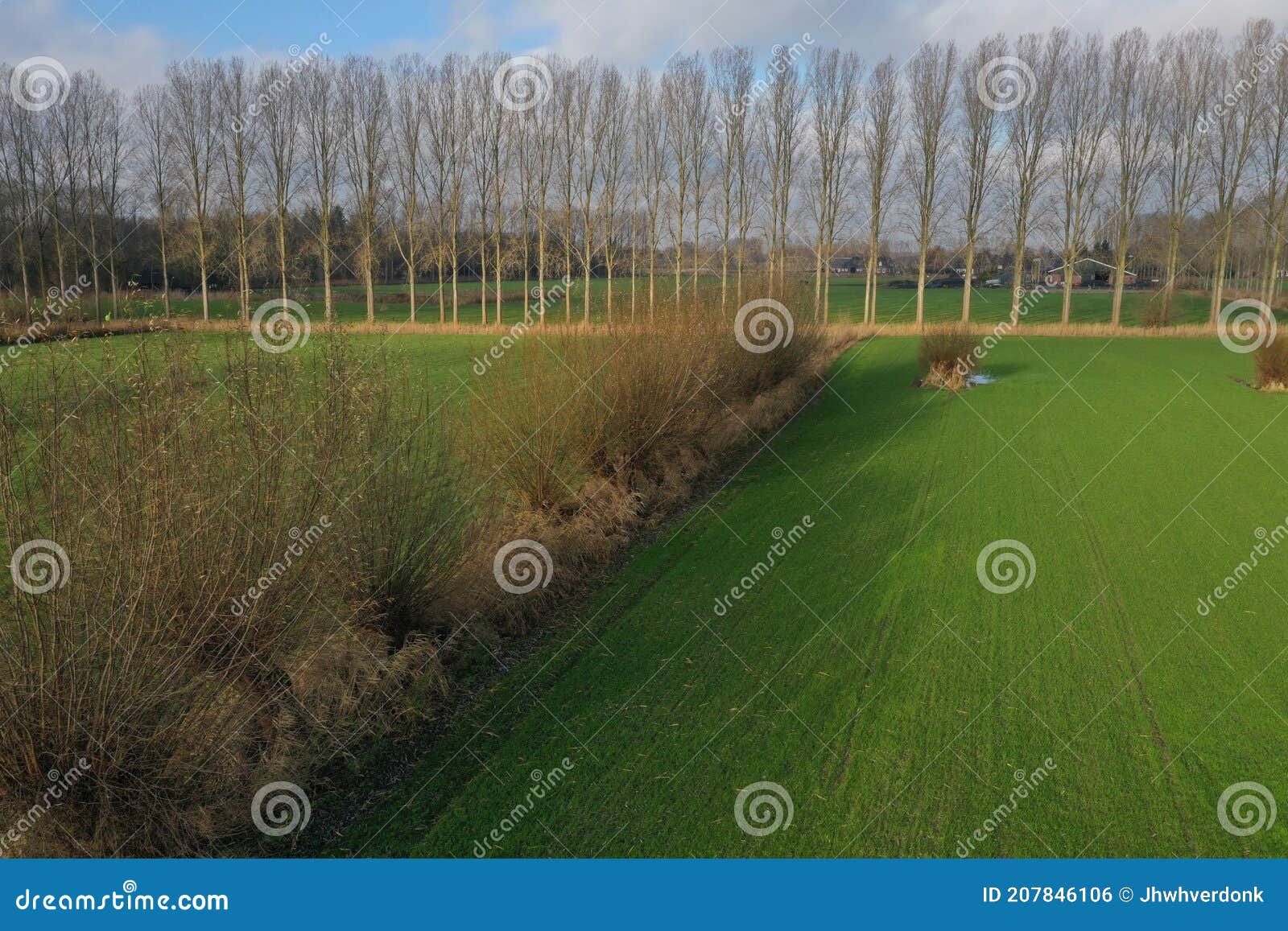Side of a Green Colored Meadow, Outlined by Many Pollard Willows and ...