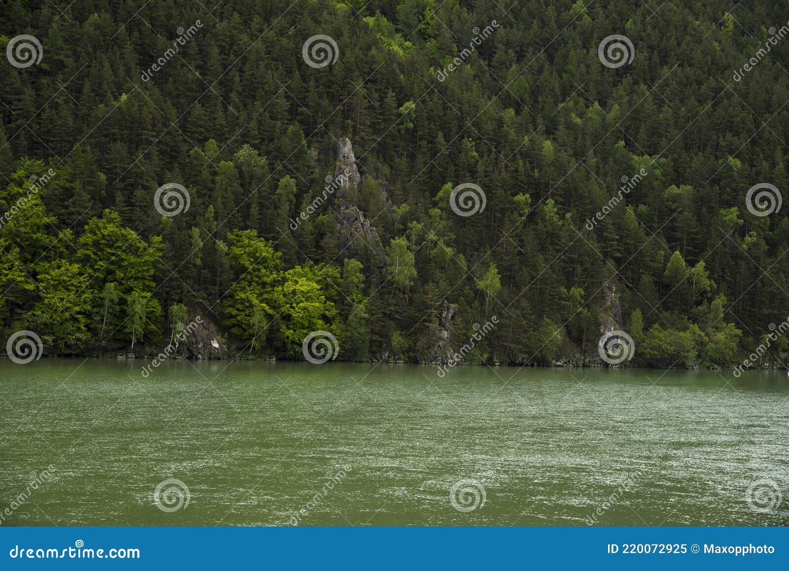 Side of Mountain River Valley in the Spring Stock Image - Image of ...