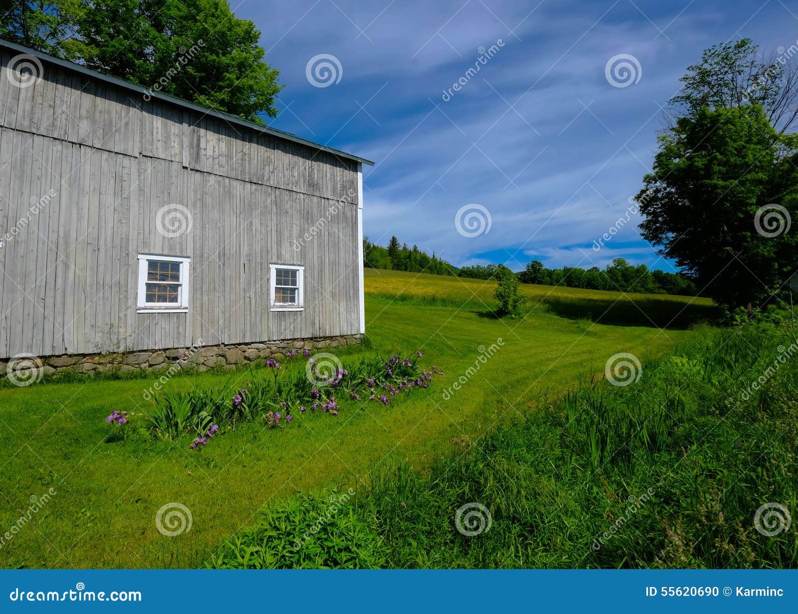 Side of Old Barn with Flowers Stock Photo - Image of plantation, grey ...
