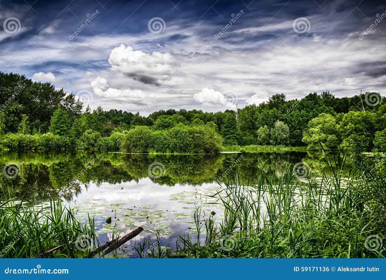 Side of the pond stock photo. Image of grass, tranquil - 59171136