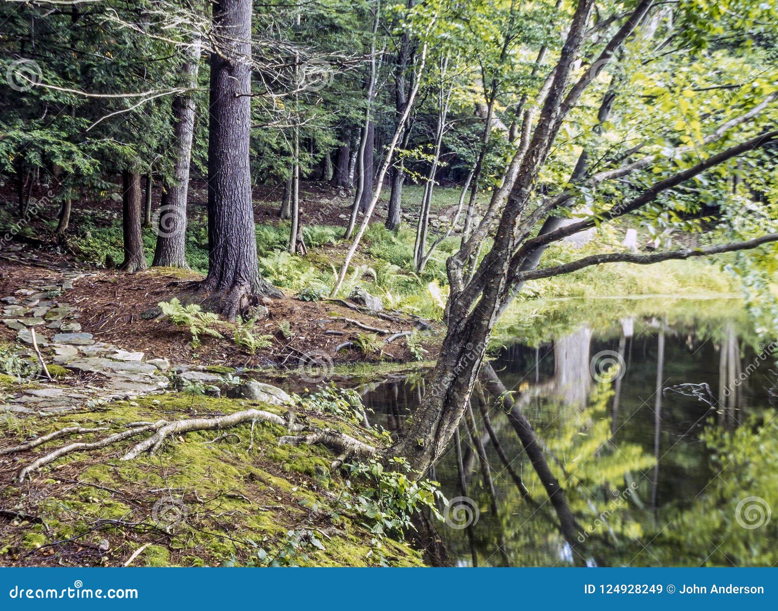 Path Around Pond in Upstate New York Stock Image - Image of trees ...
