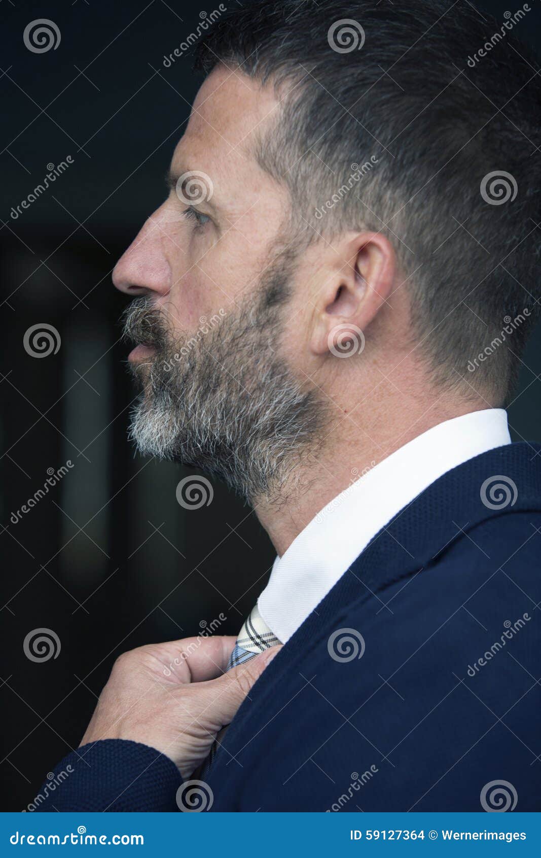 Side Profile of a Businessman Stock Photo - Image of suit, beard: 59127364