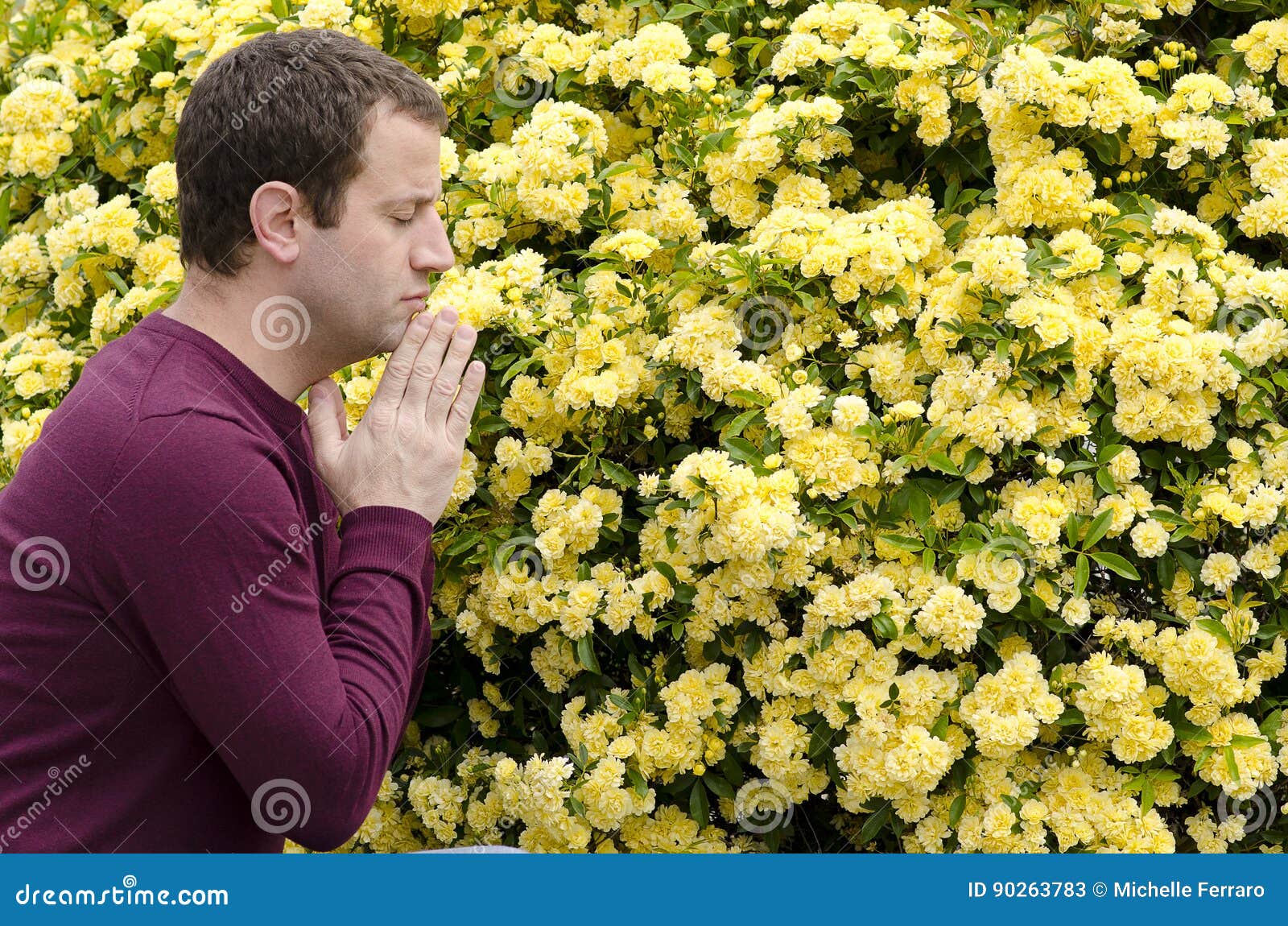 Side Profile of Man Praying by Yellow Flowers. Stock Image - Image of ...