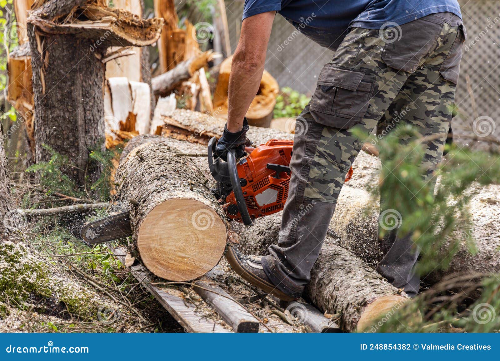 Contractors Clear Fallen Tree Post Storm Stock Photo - Image of chop ...