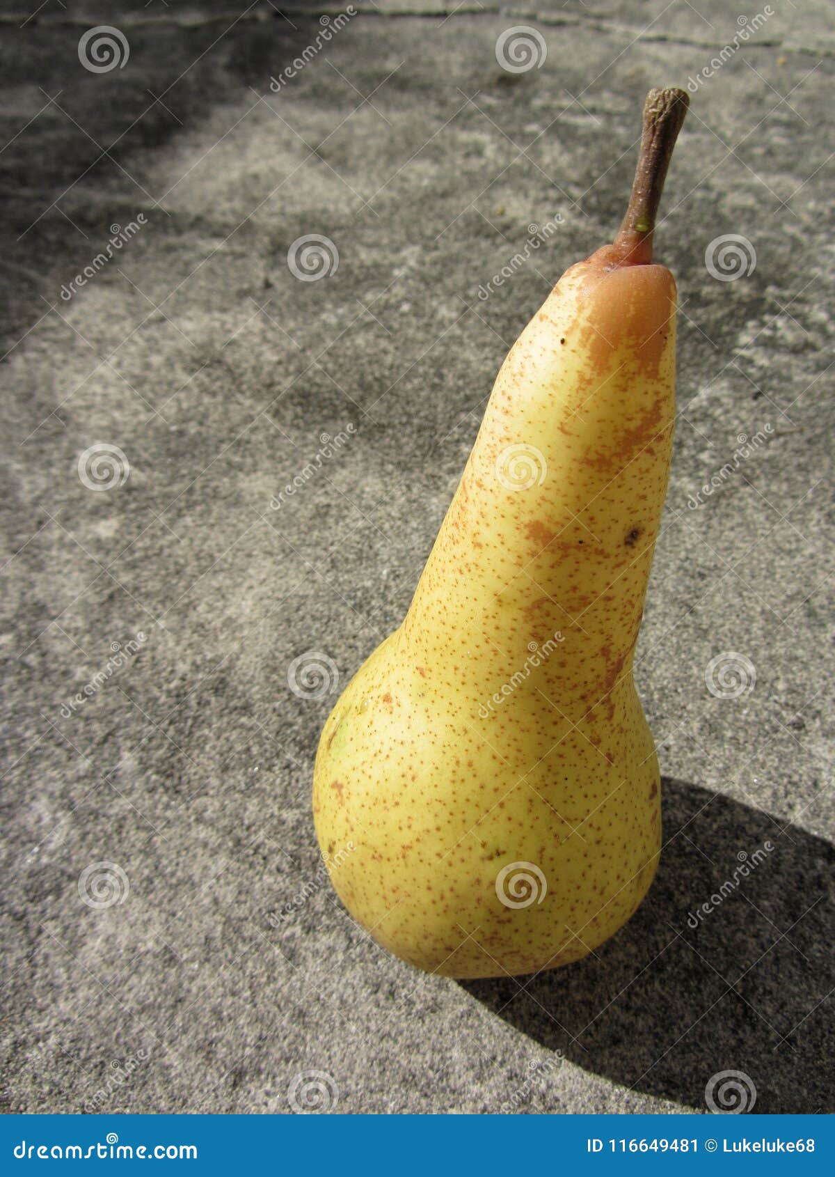 Side Profile View of Single Yellow Ripe Pear Casting Shadow on the ...