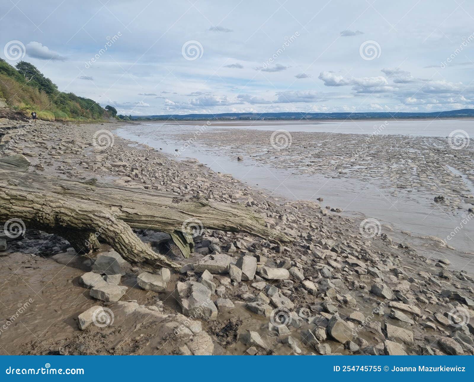 Side of River Severn in UK ðŸ‡¬ðŸ‡§ Stock Image - Image of tree, river ...