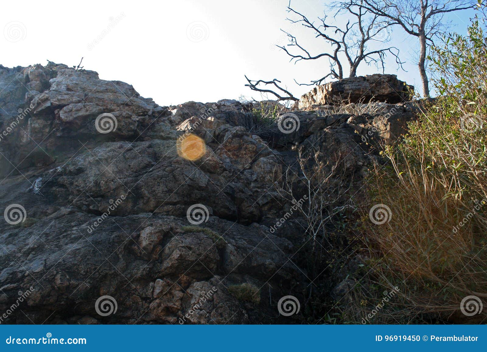 SIDE of ROCKS with VEGETATION Stock Photo - Image of winter, daytime ...